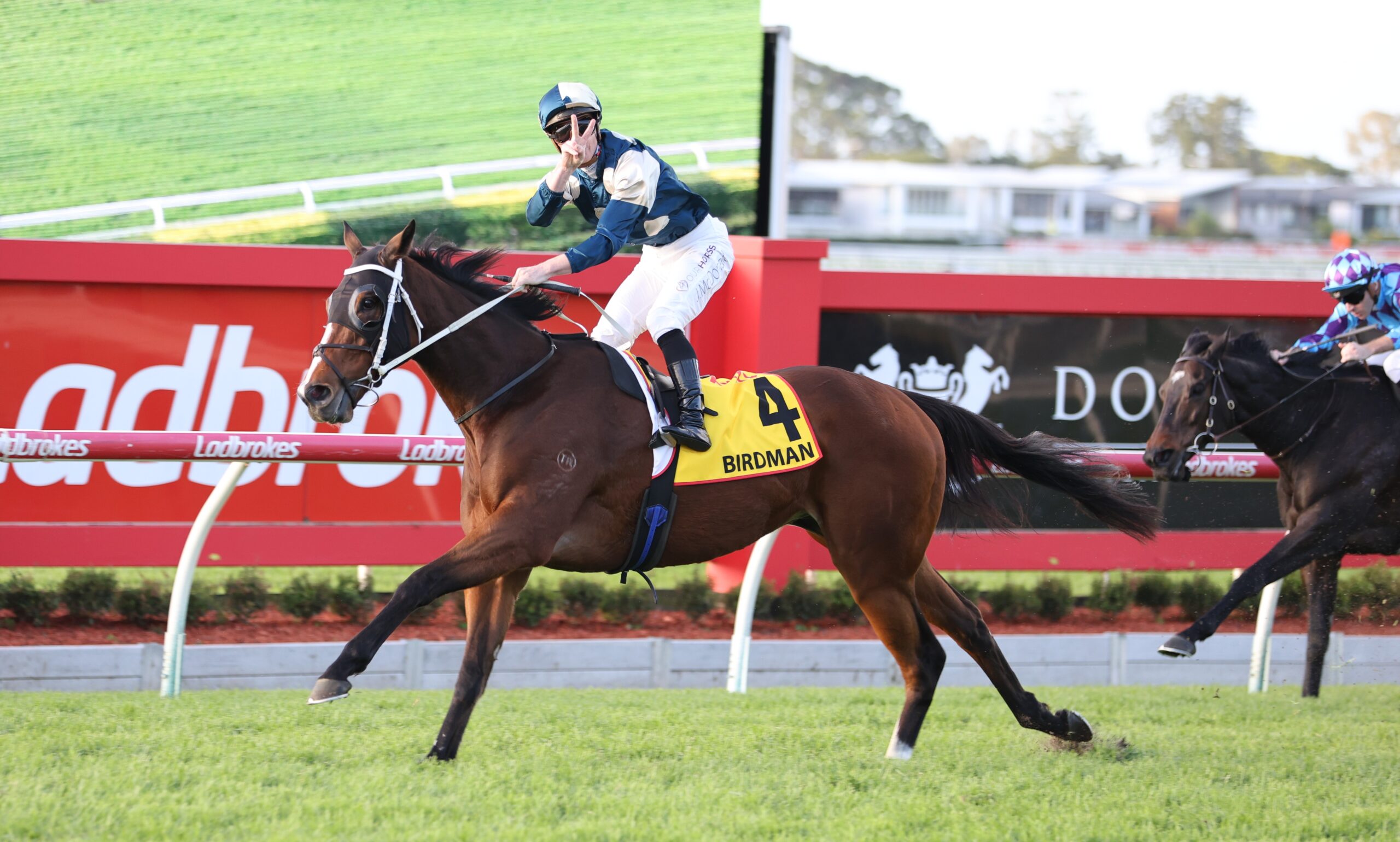 Birdman 4 | Just Horse Racing