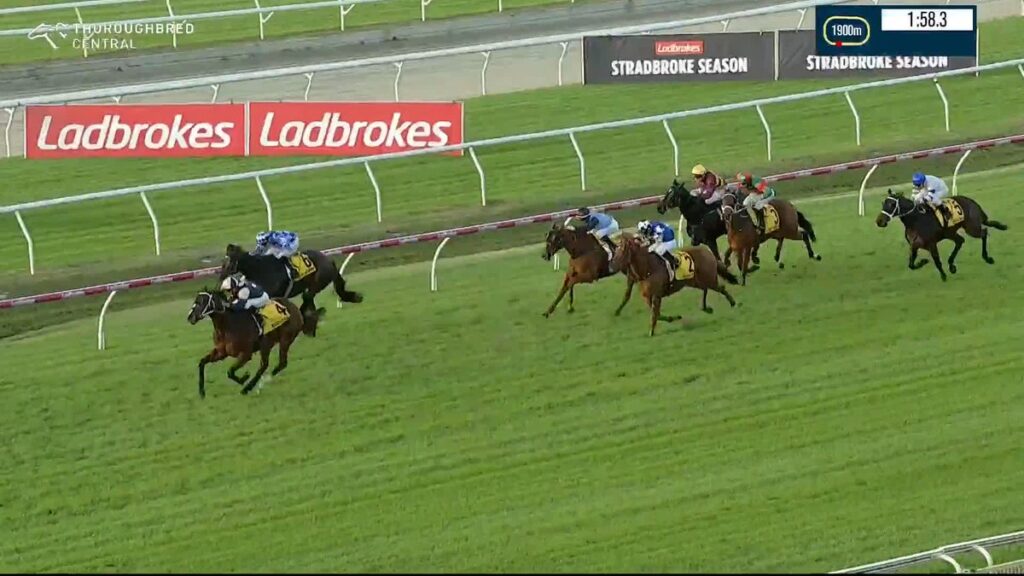 Doomben Cup results and replay – (Birdman) 2026 | Just Horse Racing