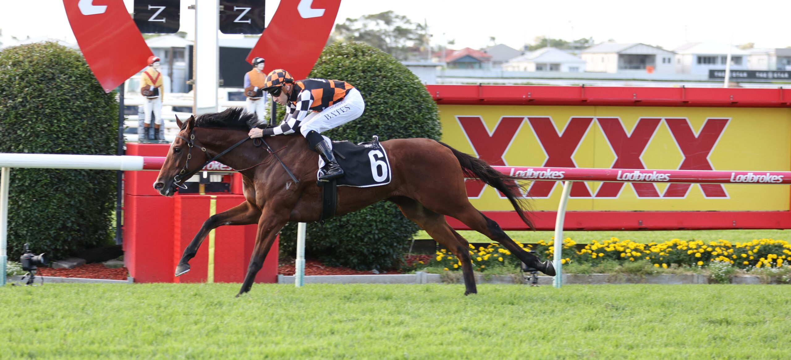 Fireball Miss | Just Horse Racing