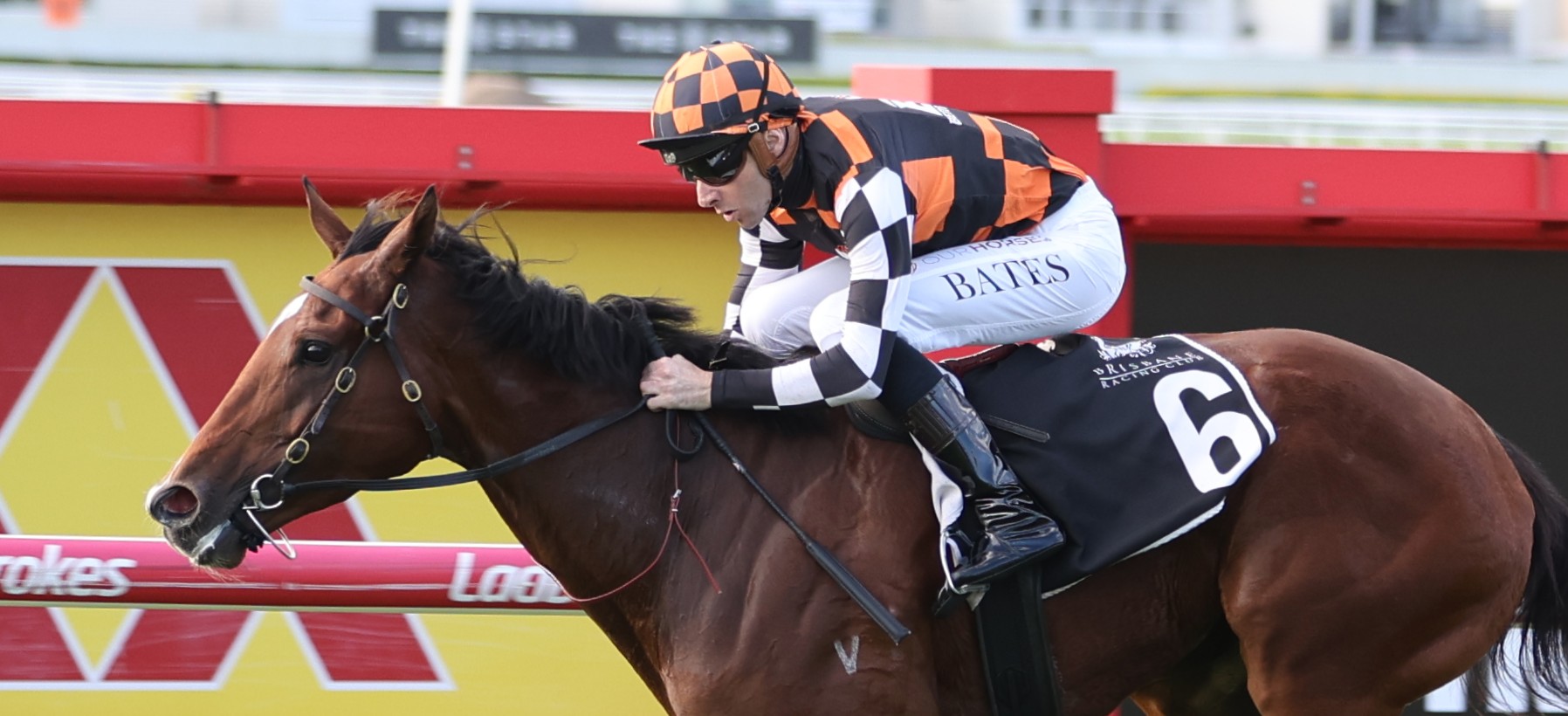 Fireball Miss 4 | Just Horse Racing