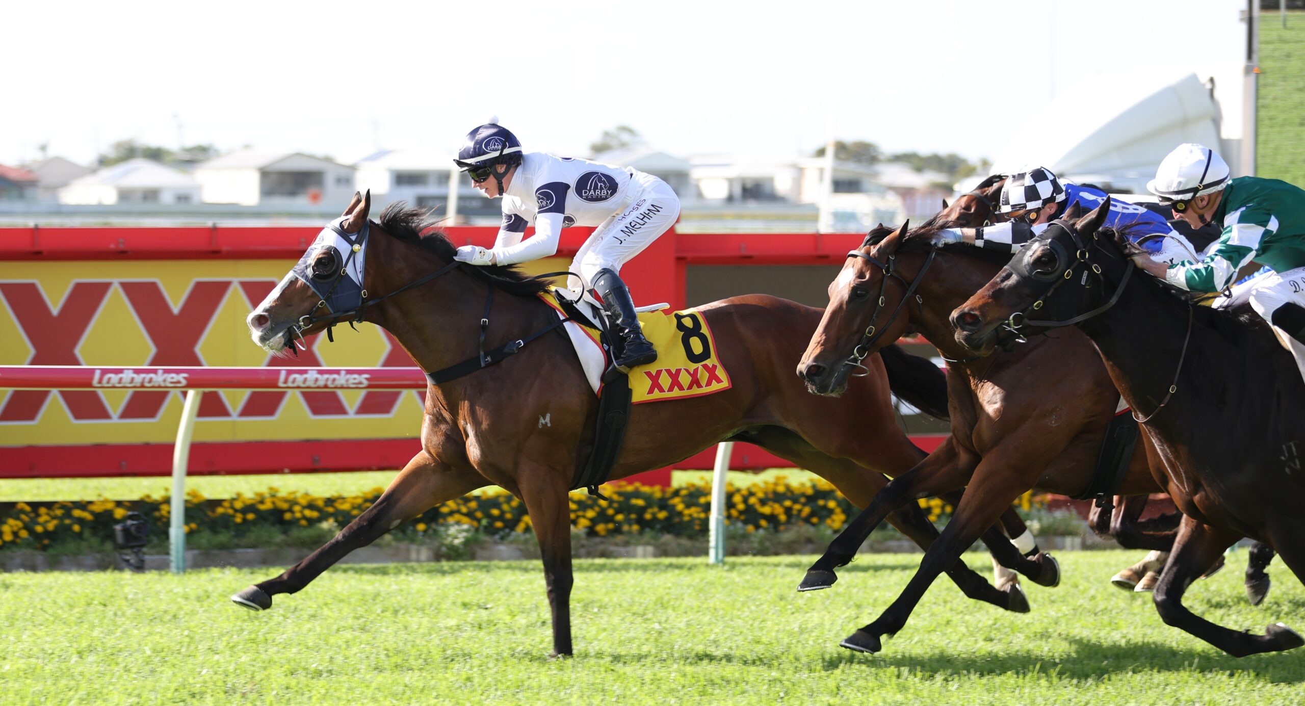 Lightning Handicap Field & Odds – 2026 | Just Horse Racing
