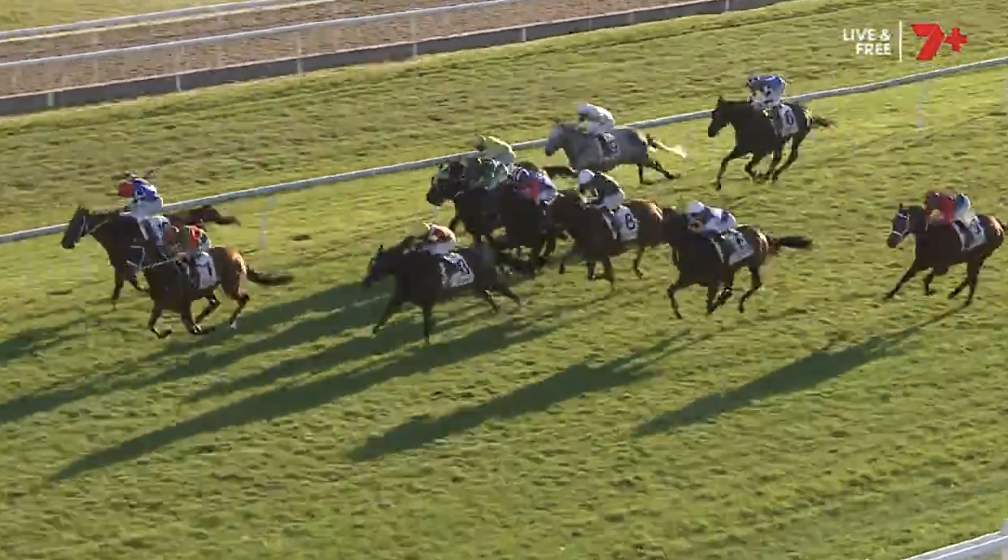 Gosford Gold Cup results and replay – (Asterix) 2026 | Just Horse Racing