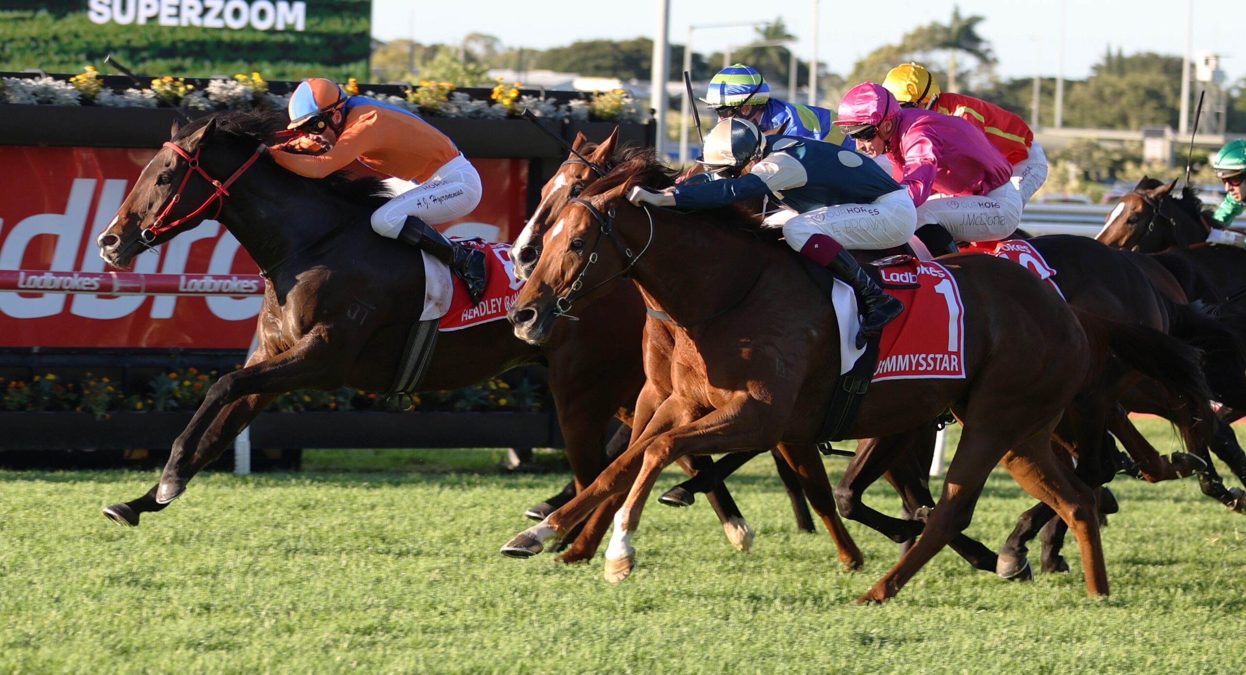 Headley Grange 3 | Just Horse Racing