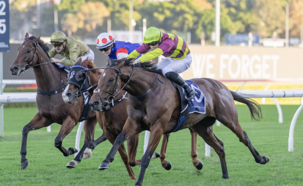 Hellsing toughs out a thrilling win in the Scone Cup | Just Horse Racing