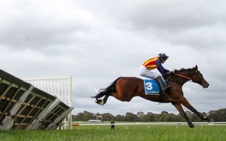 Mr Waterville a class above in the Australian Hurdle | Just Horse Racing