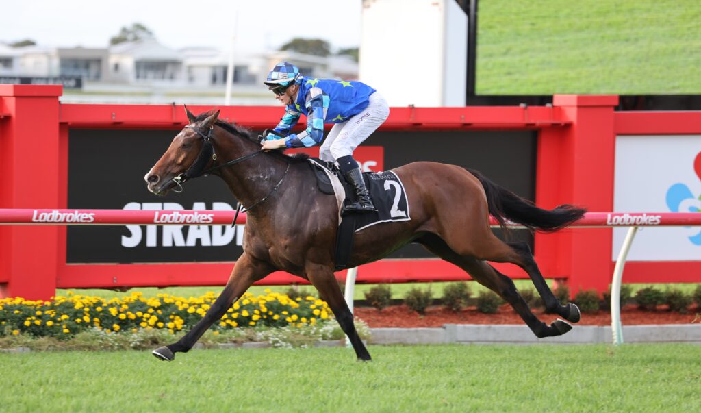 Premier’s Cup (BRC) Field & Odds – 2026 | Just Horse Racing