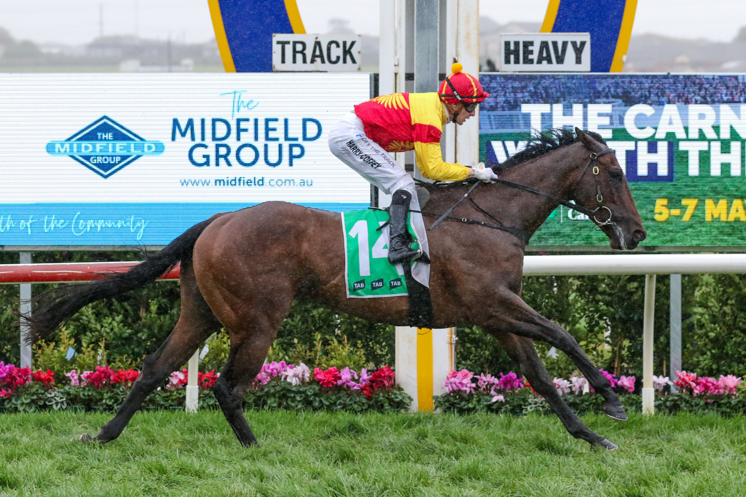 OLIVEANOTHEDAYV9A1181 | Just Horse Racing