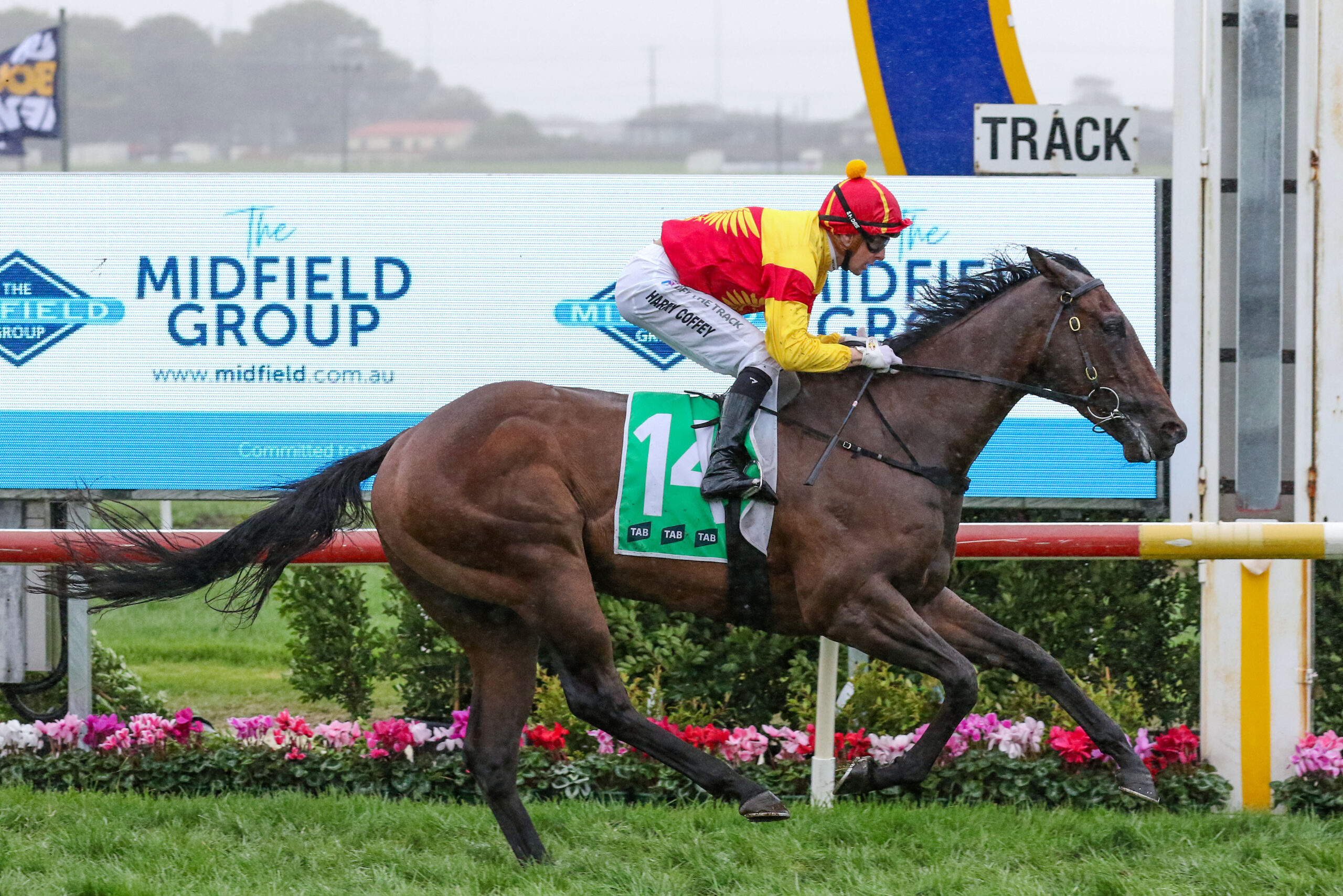 OLIVEANOTHEDAYV9A118OLIVEANOTHEDAY | Just Horse Racing