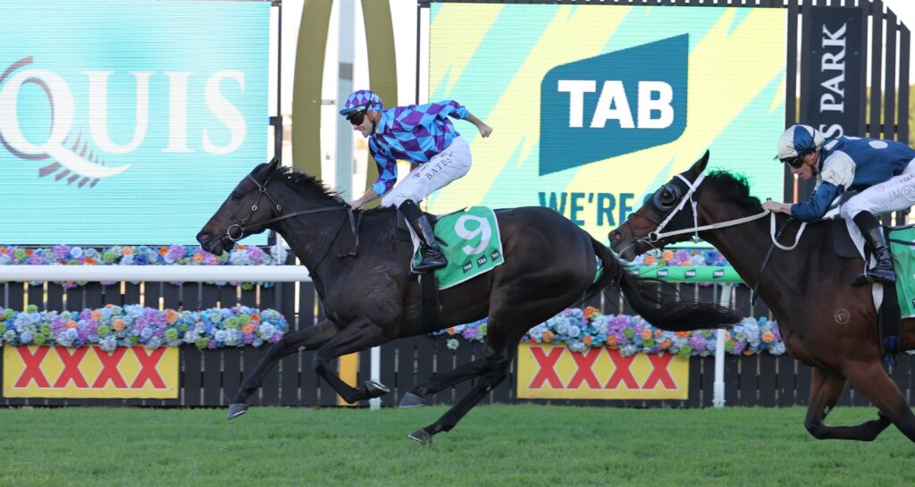 Doomben Cup Field & Odds – 2026 | Just Horse Racing
