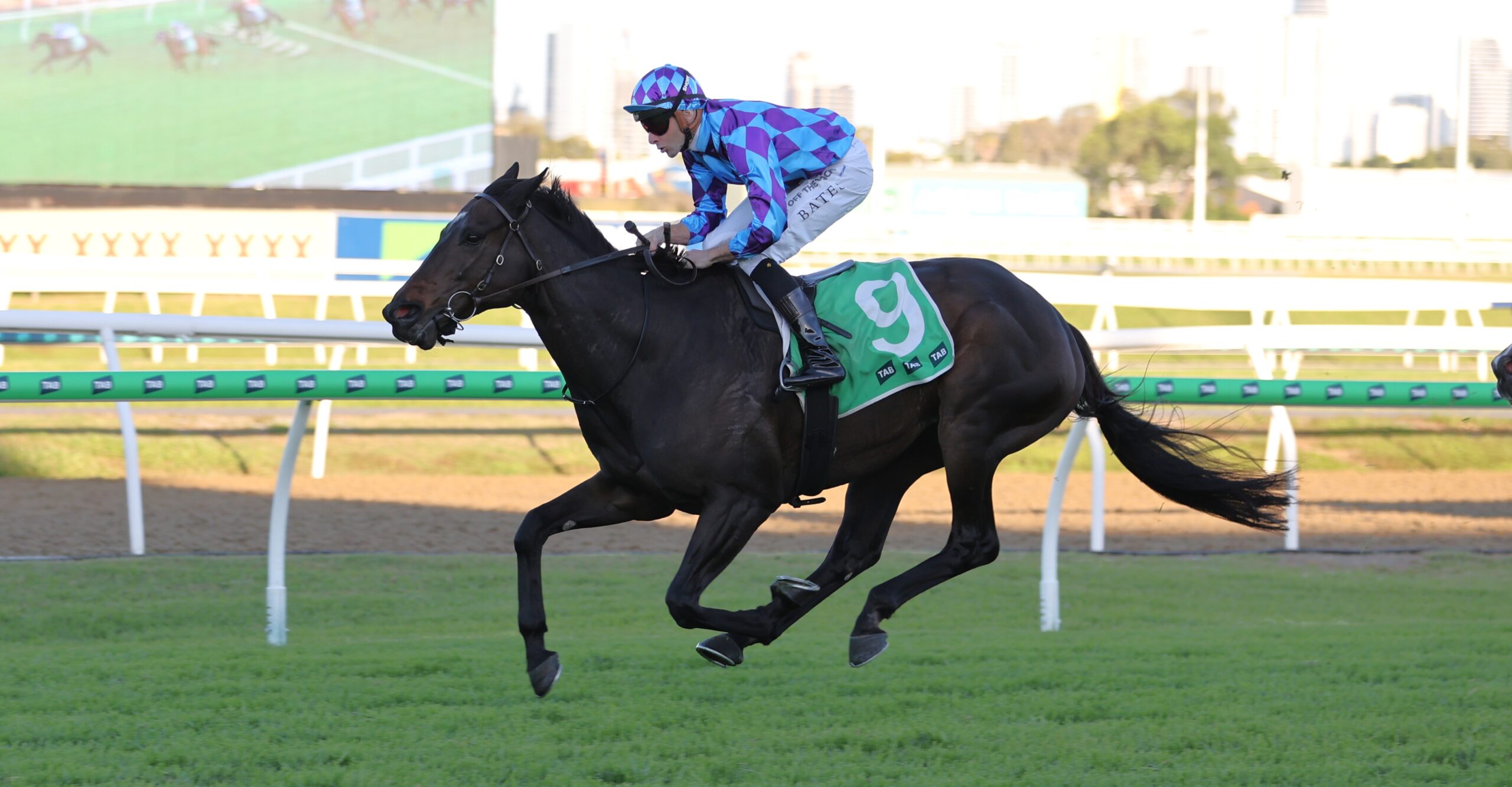 Doomben Cup 2026 – Tips, Field, Betting, Odds and Horse Previews | Just ...