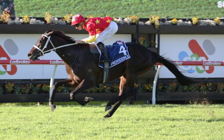 Wootton Bassett sires first G1 winner in Australia | Just Horse Racing