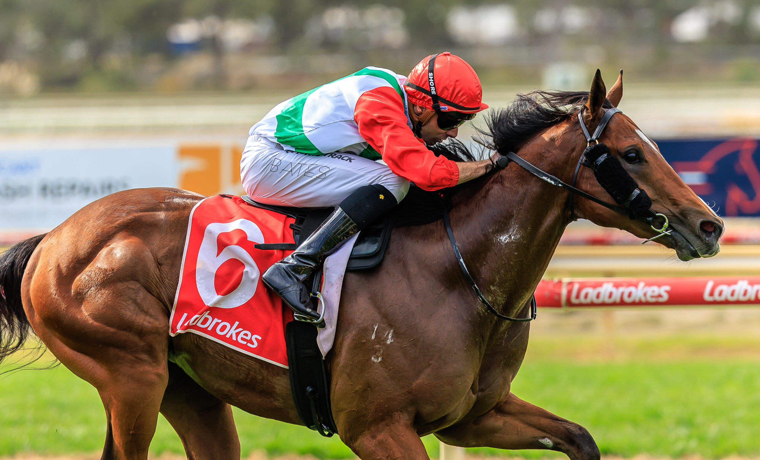 Marffiano strikes VOBIS Gold on debut at Bendigo | Just Horse Racing
