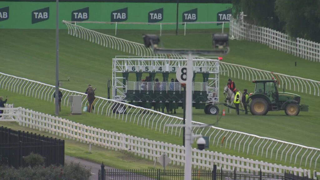 Watch 📺 Royal Ascot bound pair trial at Flemington | Just Horse Racing