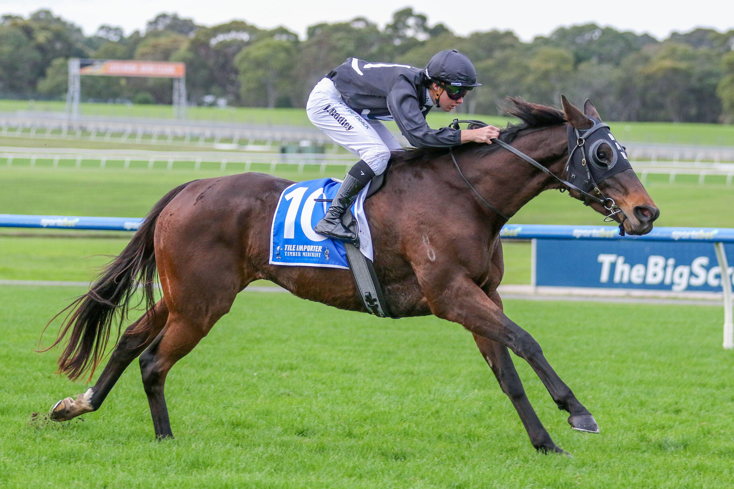SANDOWN_23_5_2026 RACE 7 SEAFALL (7) | Just Horse Racing