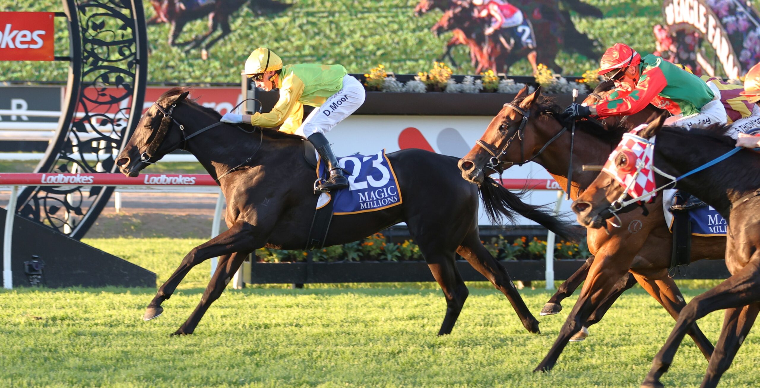 Savagery Vibe 3 | Just Horse Racing