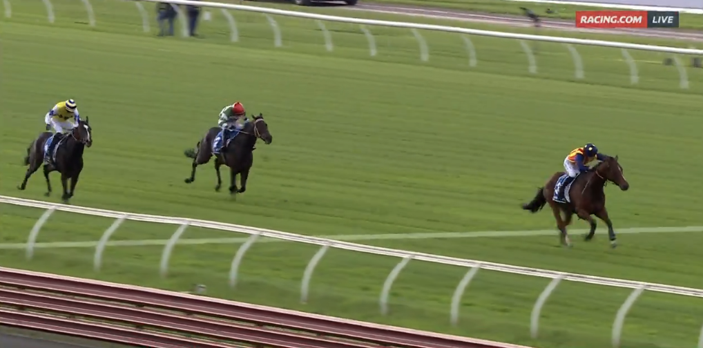 The Australian Hurdle results and replay – (Mr Waterville) 2026 | Just ...
