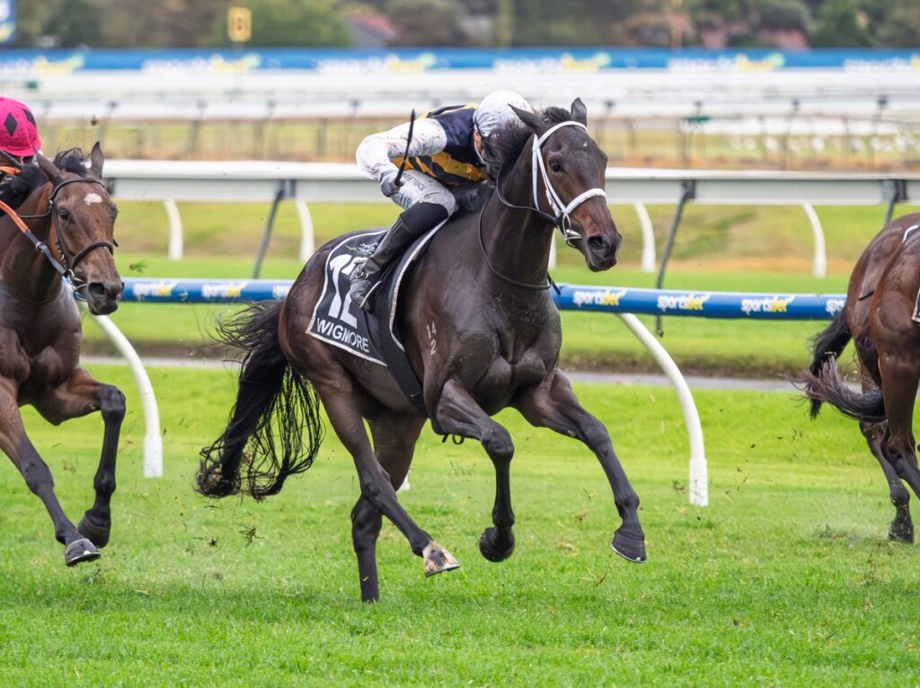 Stokes goes back-to-back in the SA Derby | Just Horse Racing