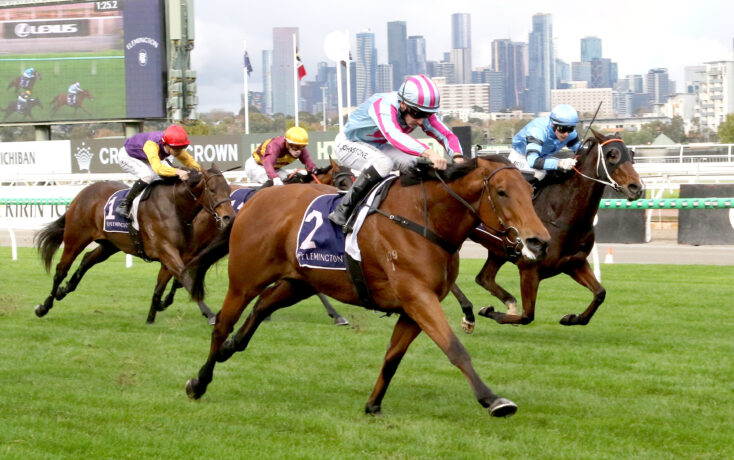Johnstone rebounds after hairy ride at Flemington | Just Horse Racing