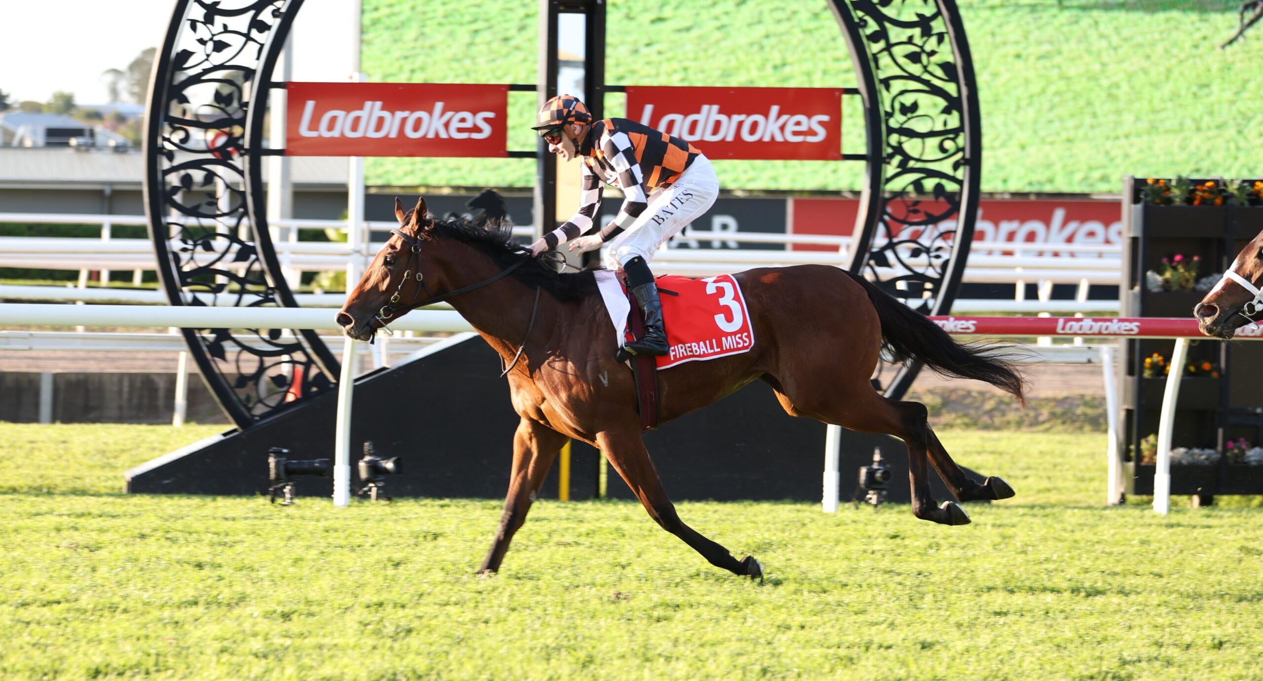 Fireball Miss | Just Horse Racing