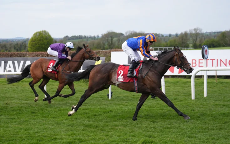 Royal Ascot Gold Cup Field & Odds – 2026 | Just Horse Racing