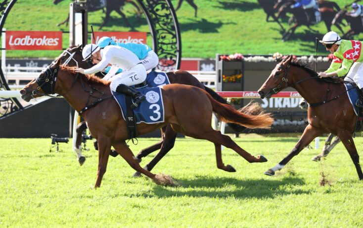 Snowden colt Guns down rivals in Tattersall’s Stakes | Just Horse Racing