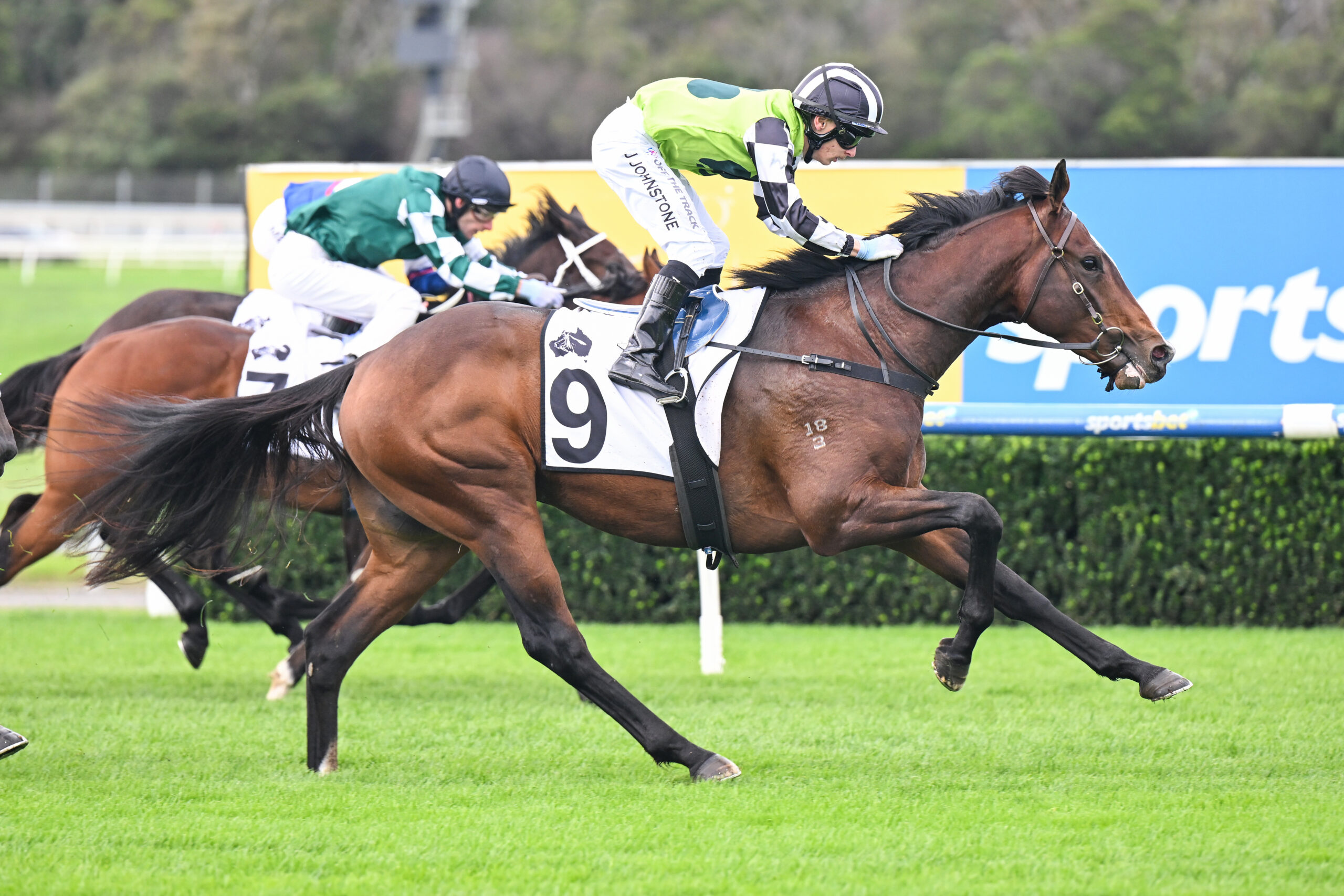 /r2/ | Just Horse Racing