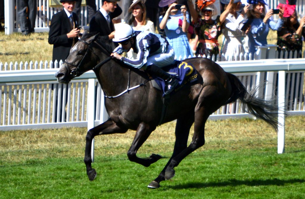 Alpha Centauri smashes rivals in the Coronation Stakes | Just Horse Racing
