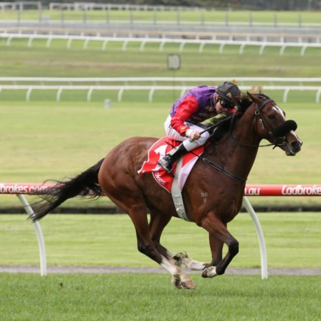 Bold Sniper provides proper royal result | Just Horse Racing
