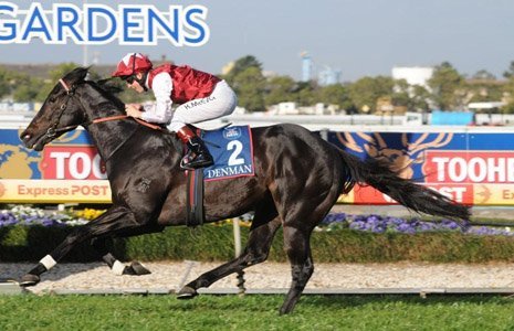 Denman retired from stud duties at Twin Hills | Just Horse Racing