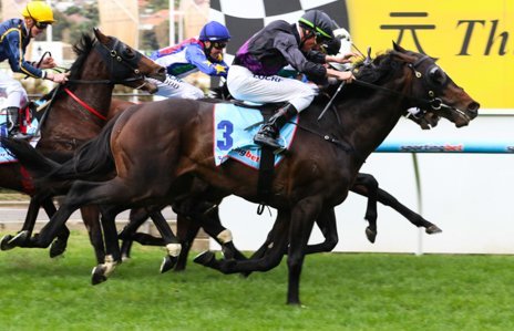 Fiorente storms to WFA victory at Moonee Valley | Just Horse Racing