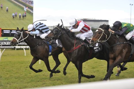 Firebird Flyer scores tough Randwick win | Just Horse Racing
