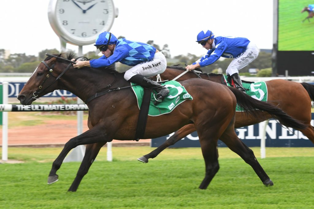 Imperial Aviator switches south for Valley | Just Horse Racing