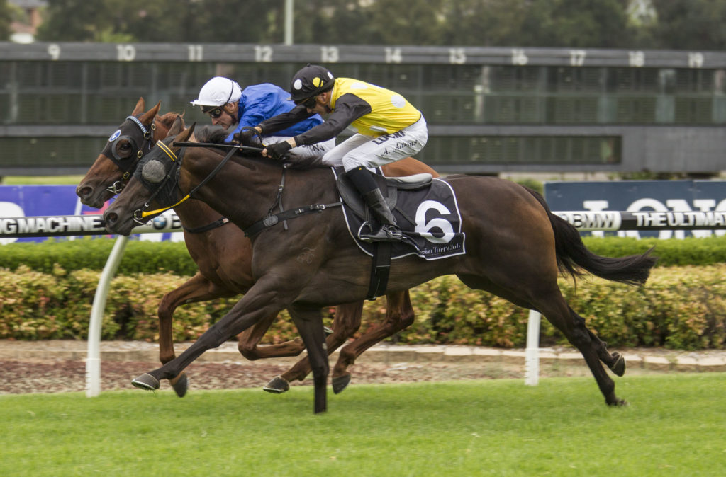 One on one with jockey Andrew Adkins | Just Horse Racing