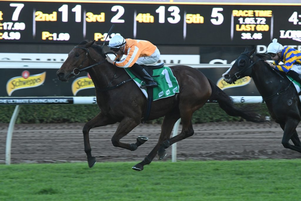 Unexpected success for Magical Stance | Just Horse Racing