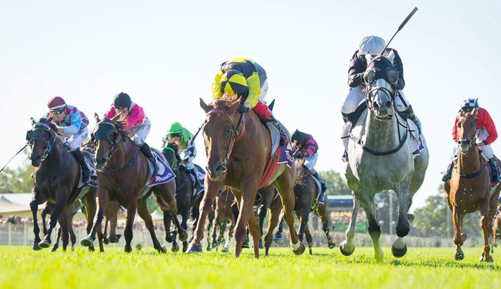 Perth Cup winner to move stables | Just Horse Racing