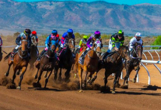 Latest Horse Racing Fields - Just Horse Racing