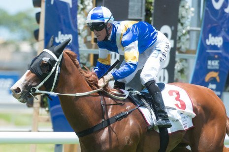 Peter Robl after training milestone | Just Horse Racing