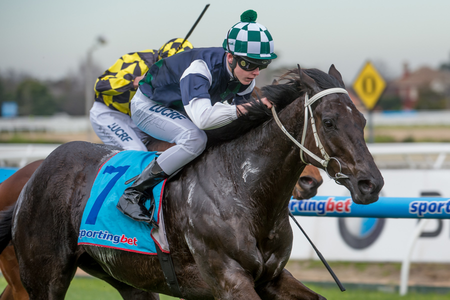 Double joy for trainer Nathan McPherson | Just Horse Racing