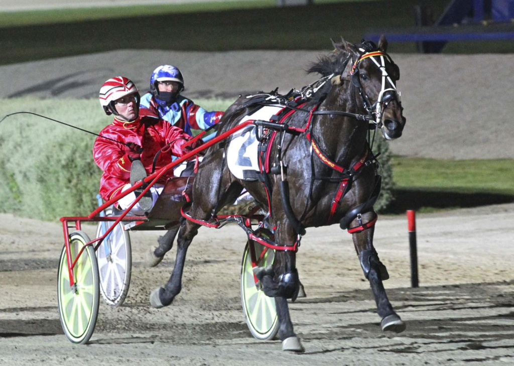 Arrests over alleged trots race fixing | Just Horse Racing