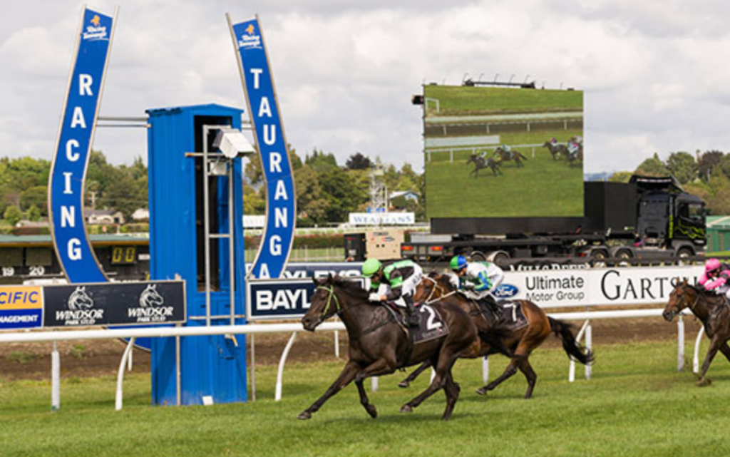7/2/2025 Horse Racing Tips and Best Bets – Tauranga | Just Horse Racing