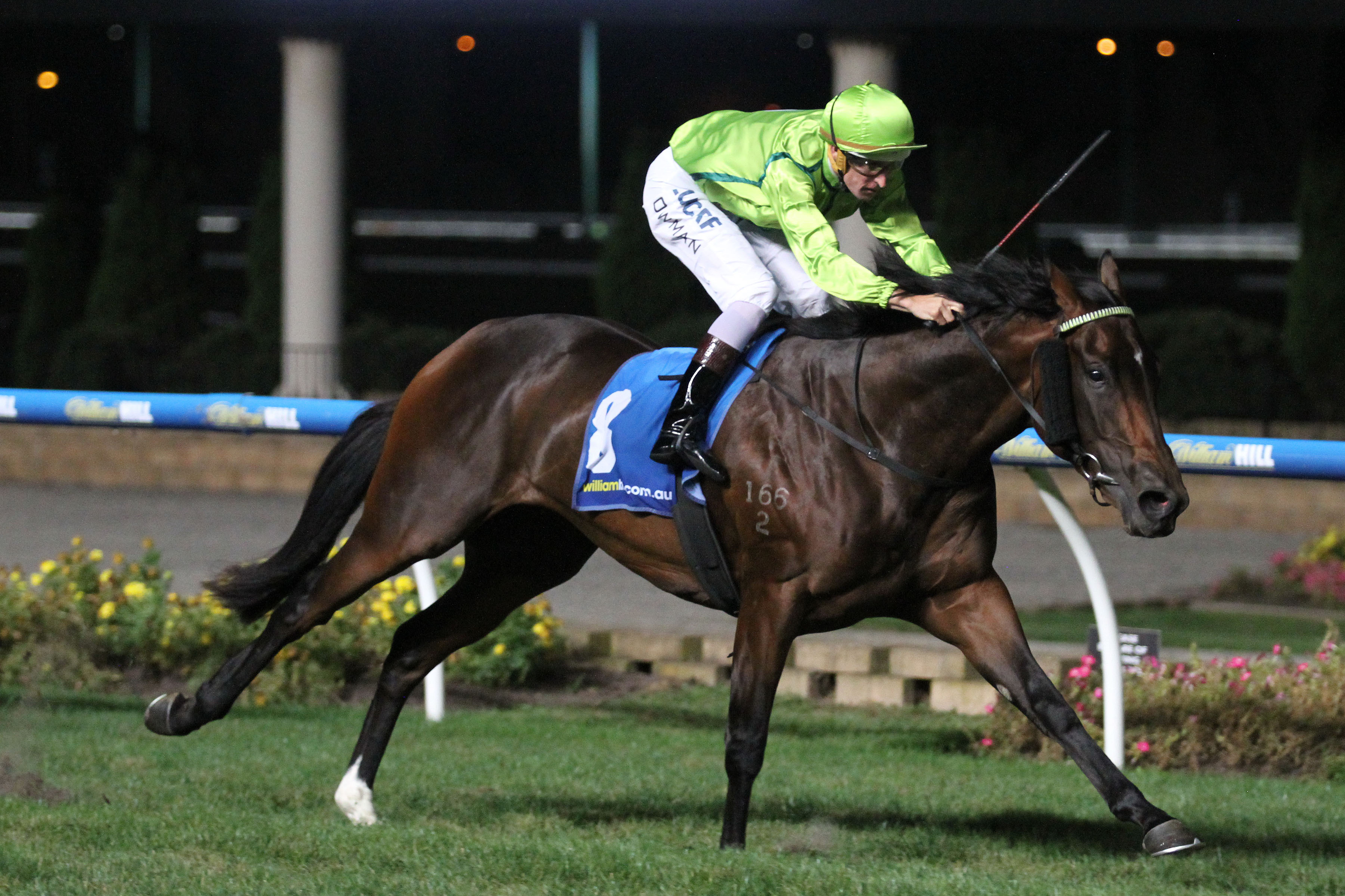 Thames Court to step out in Cockram Stakes | Just Horse Racing