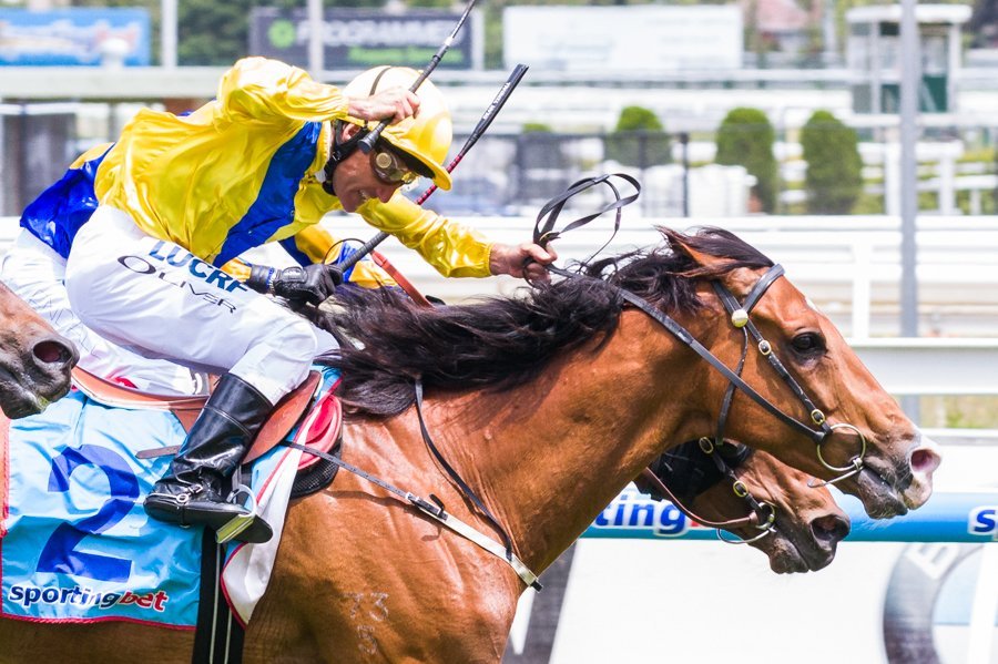 Winning treble for Oliver at Caulfield | Just Horse Racing