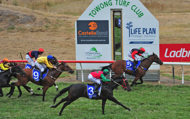 Towong Cup Field – 2022 | Just Horse Racing