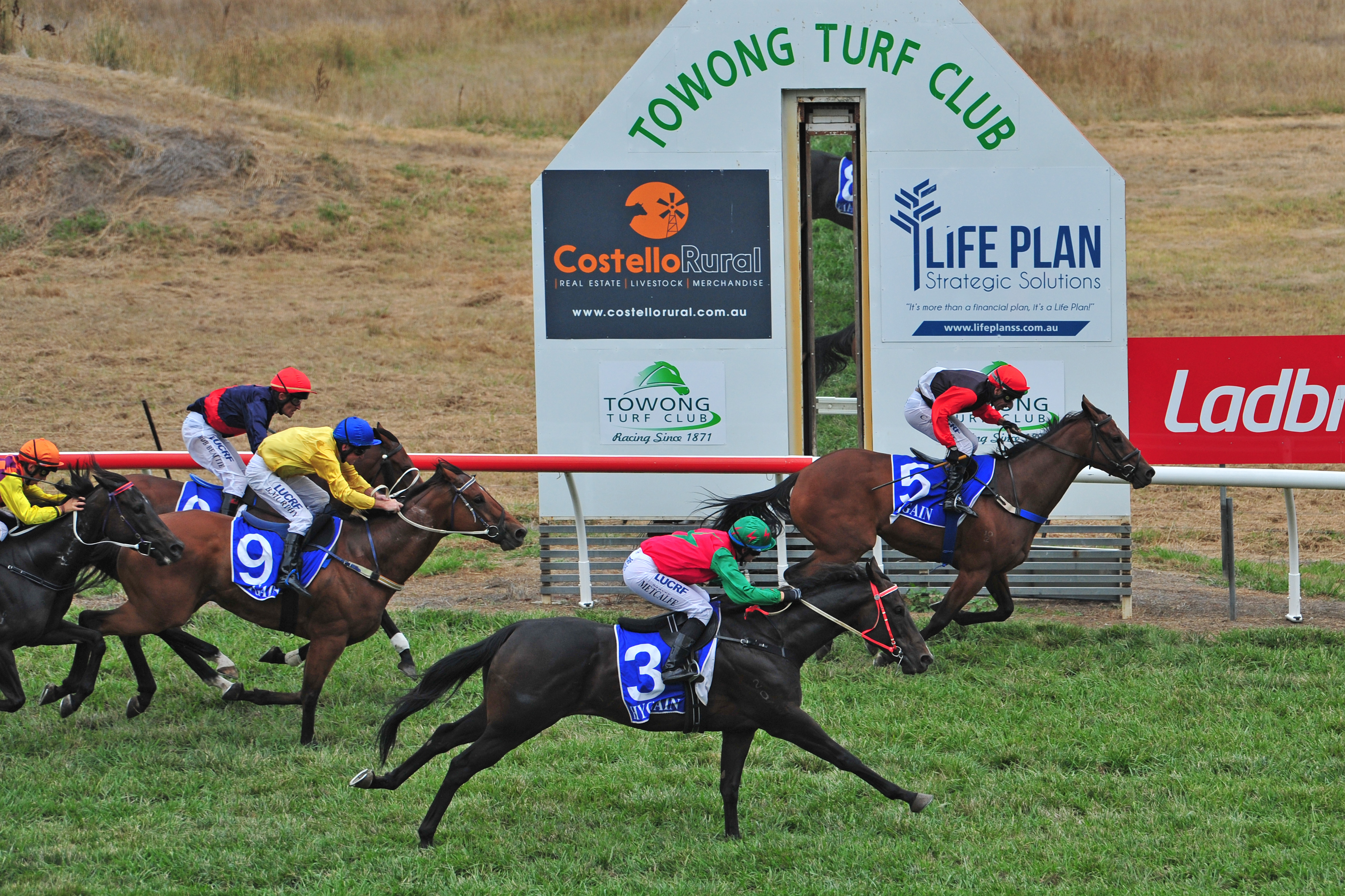 Towong Cup 2027 Field, Tips, Betting Odds, Results