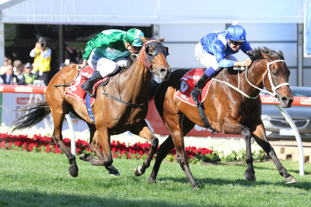 Winx claims her piece of Cox Plate history | Just Horse Racing