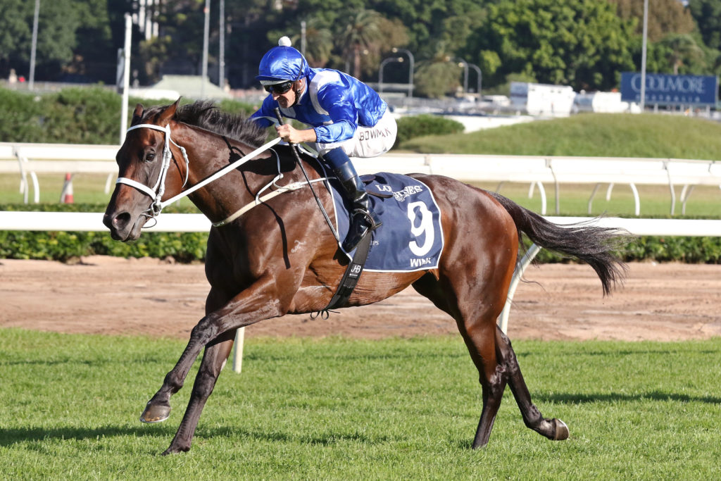 Winx kicks off Cox Plate campaign in style | Just Horse Racing